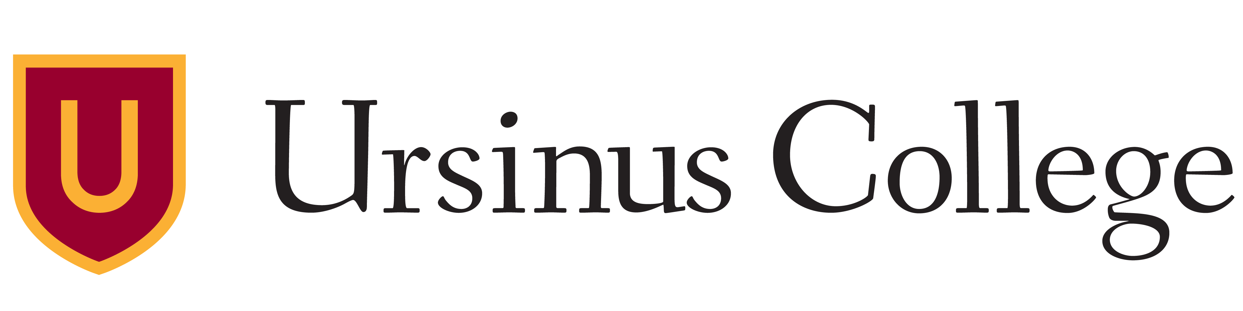 School logo